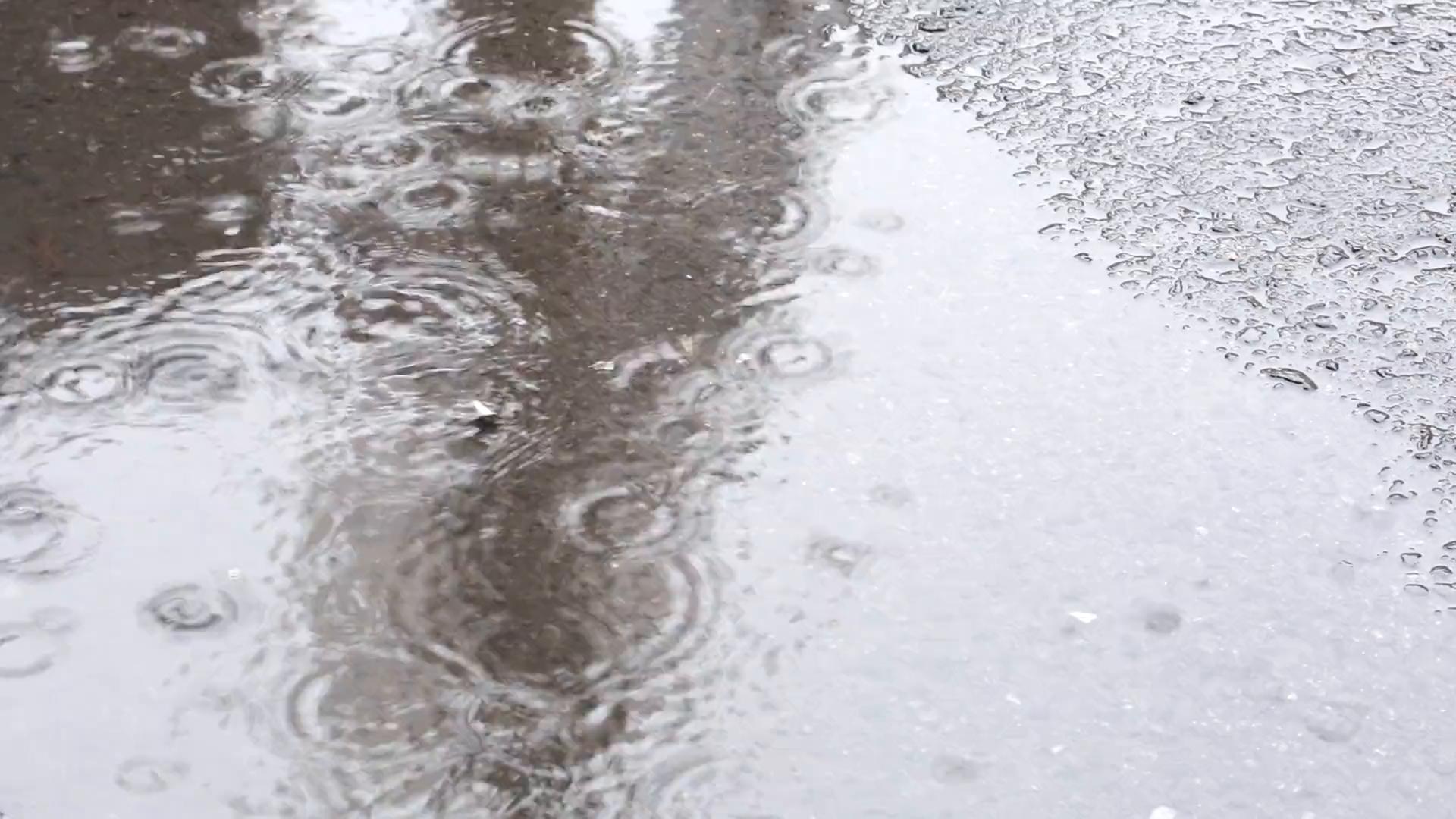 Rain Mobile Live Wallpaper