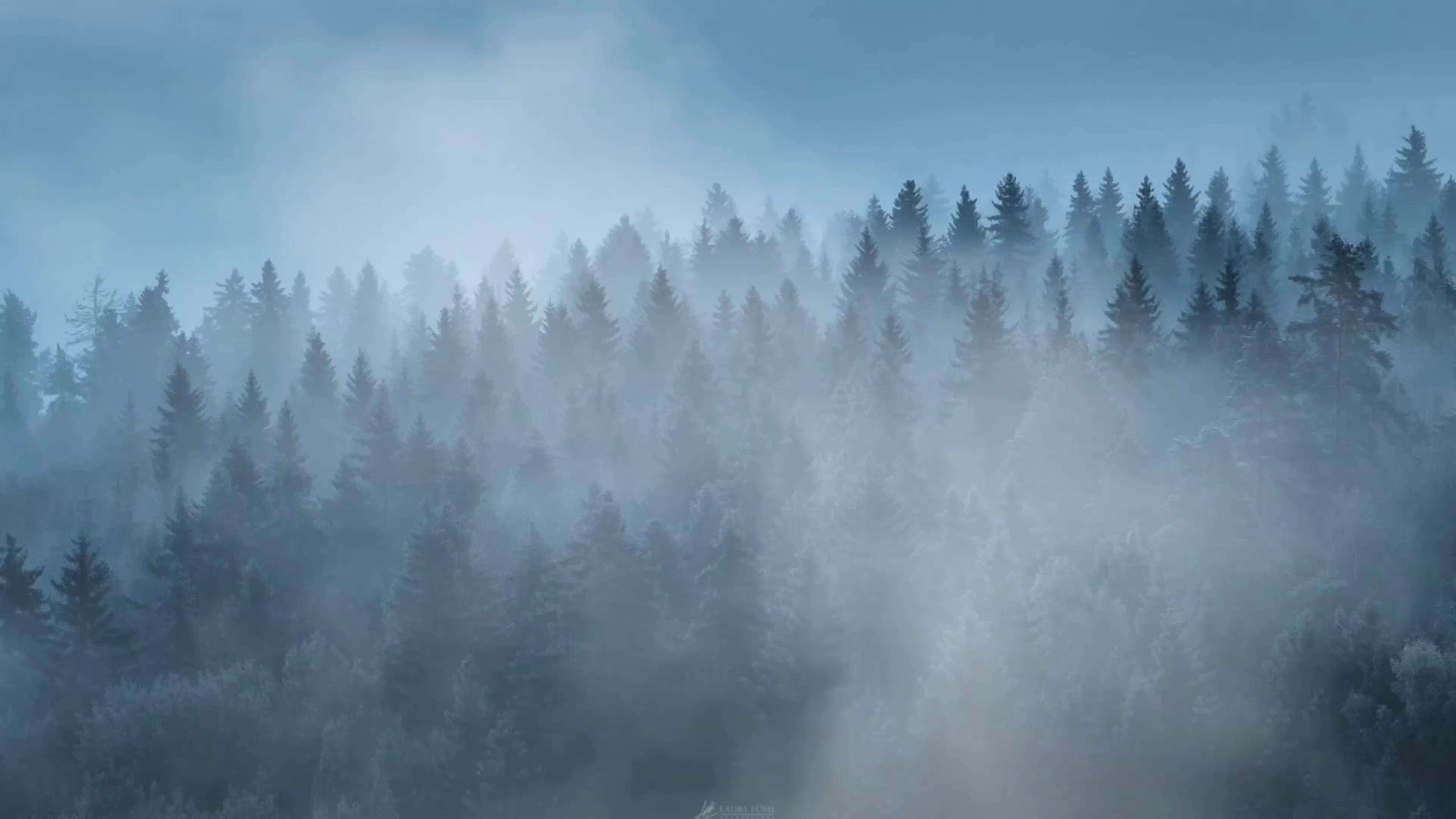 Forest in the Morning Fog Animated Wallpaper