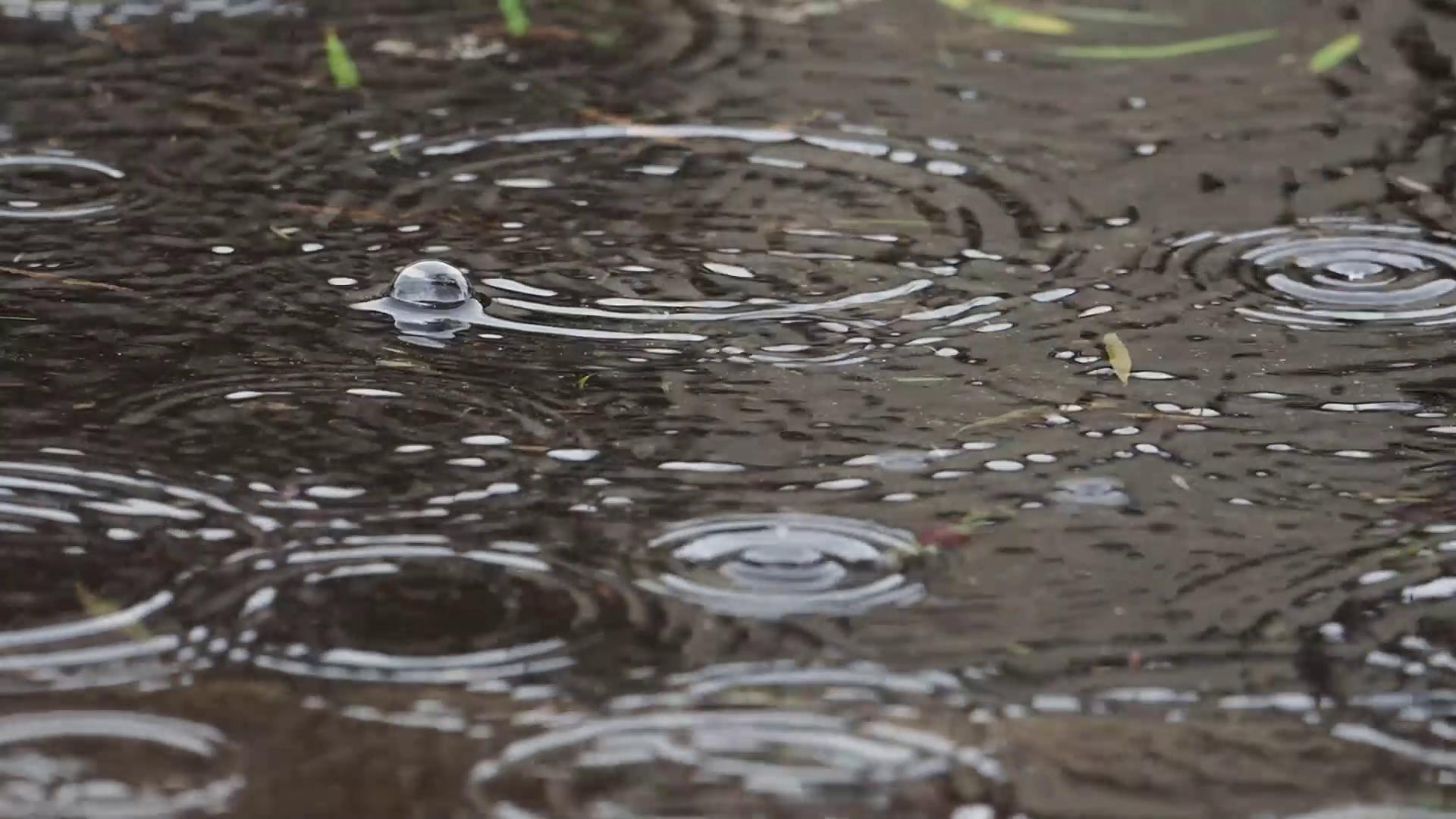 Raindrops Live Wallpaper