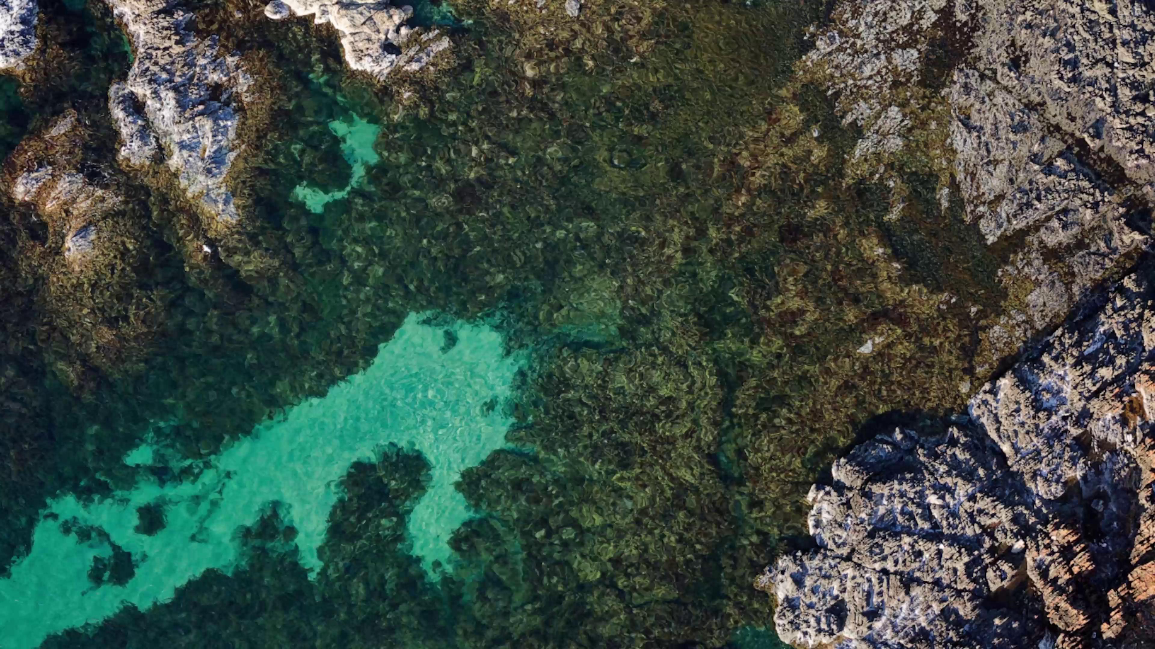 Ocean From Above Live Wallpaper