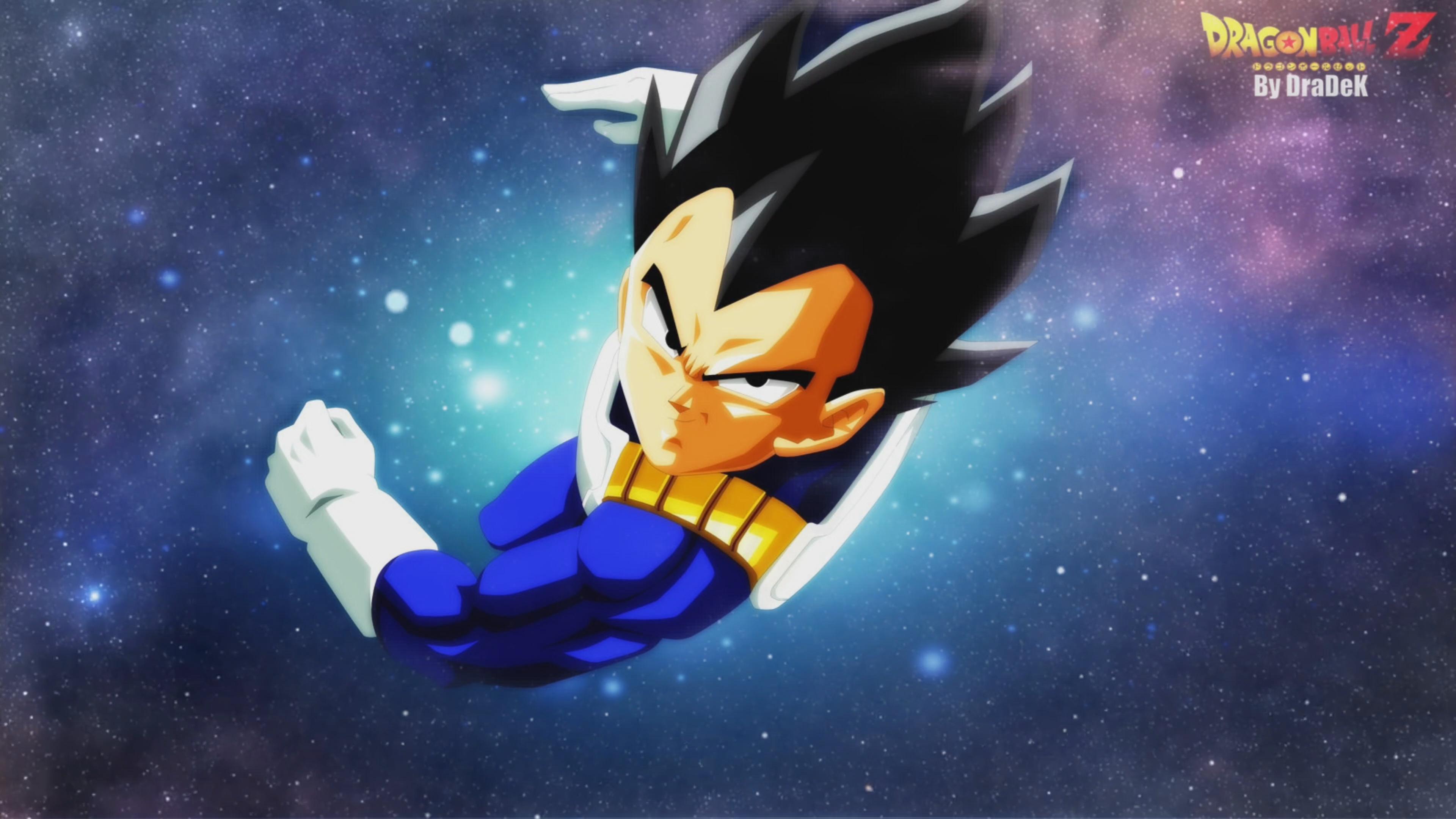 Vegeta Super Saiyan God Wallpaper