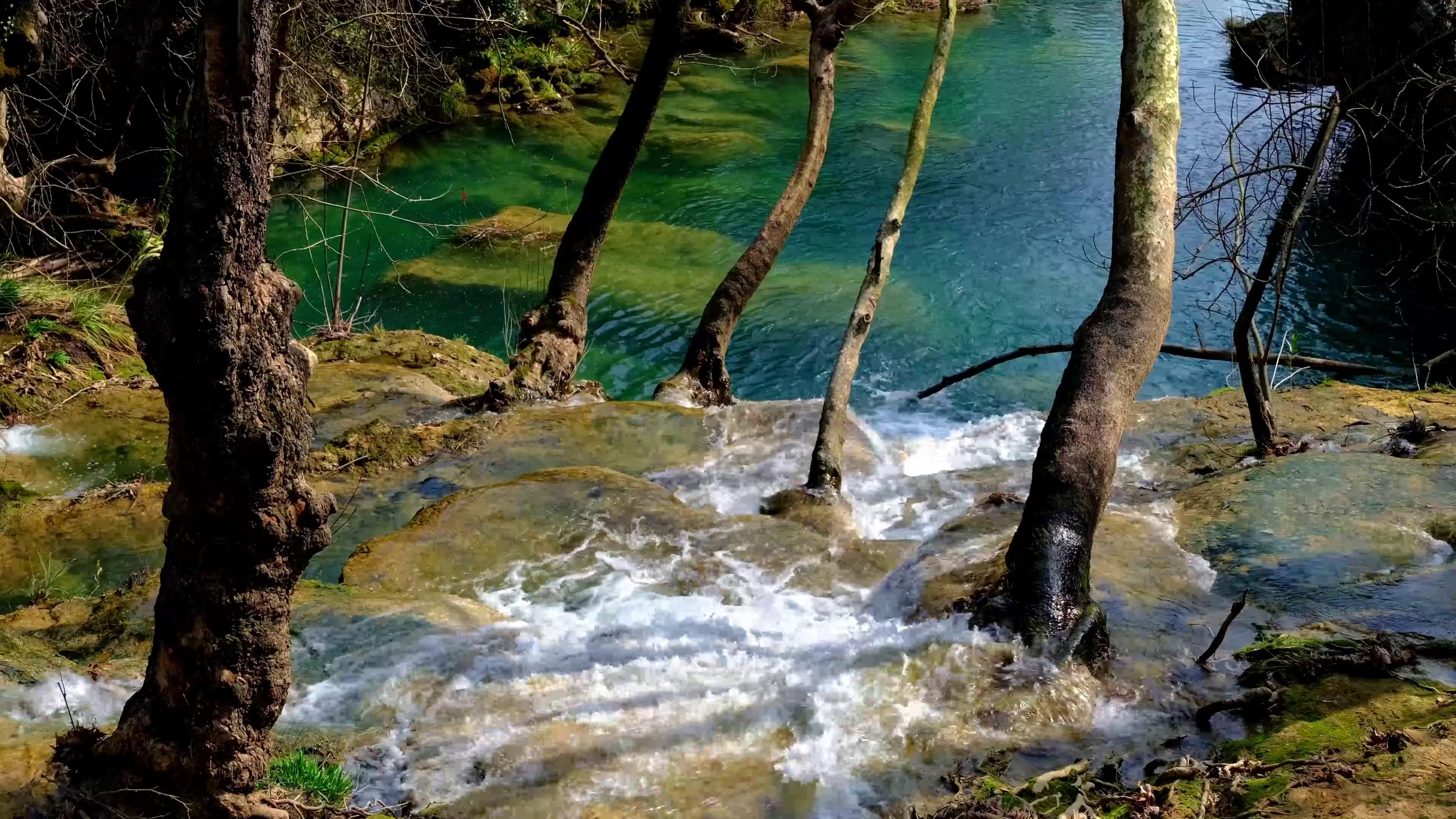Spring River Flowing Live Wallpaper