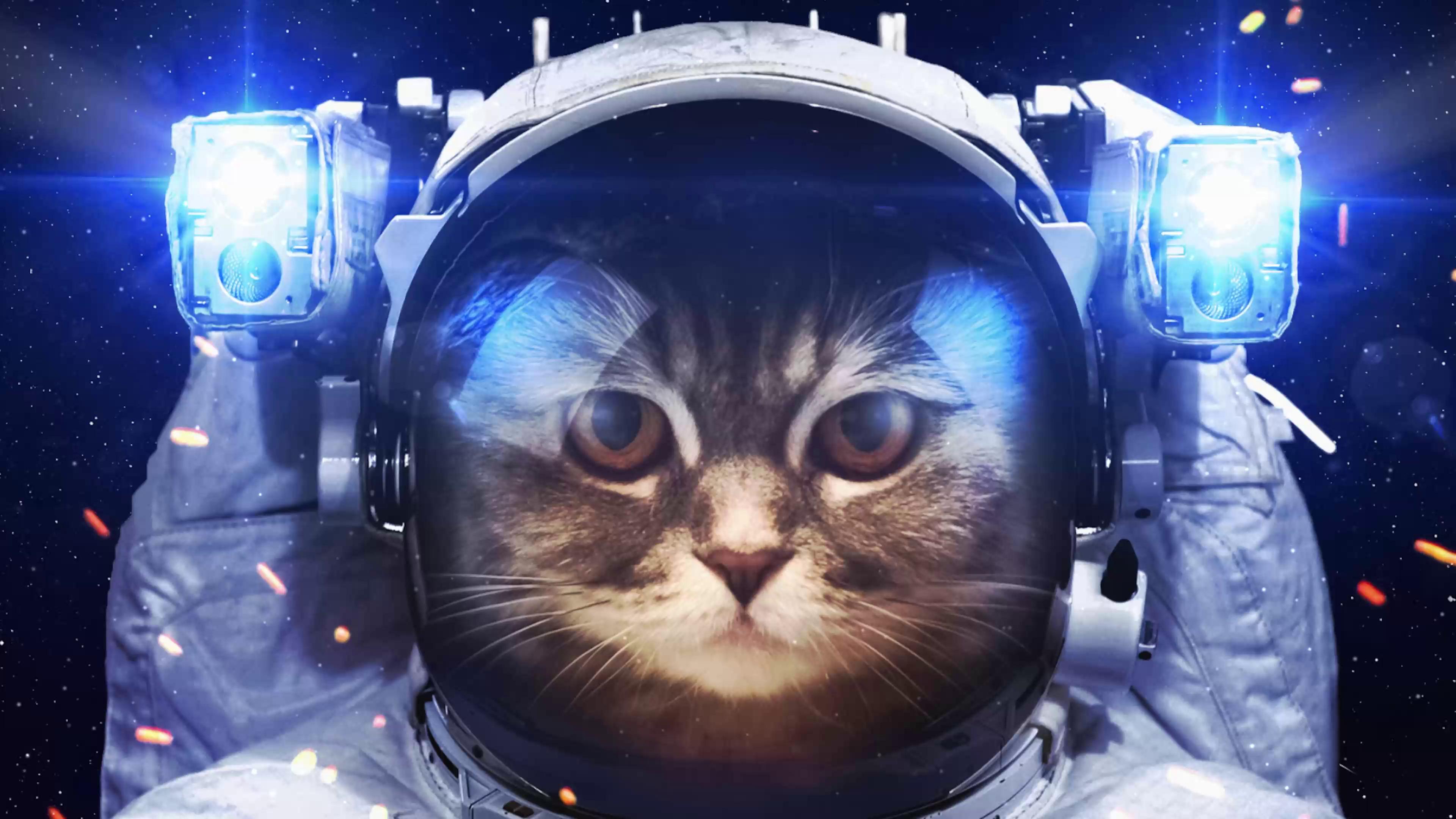 Spacecat Live Wallpaper