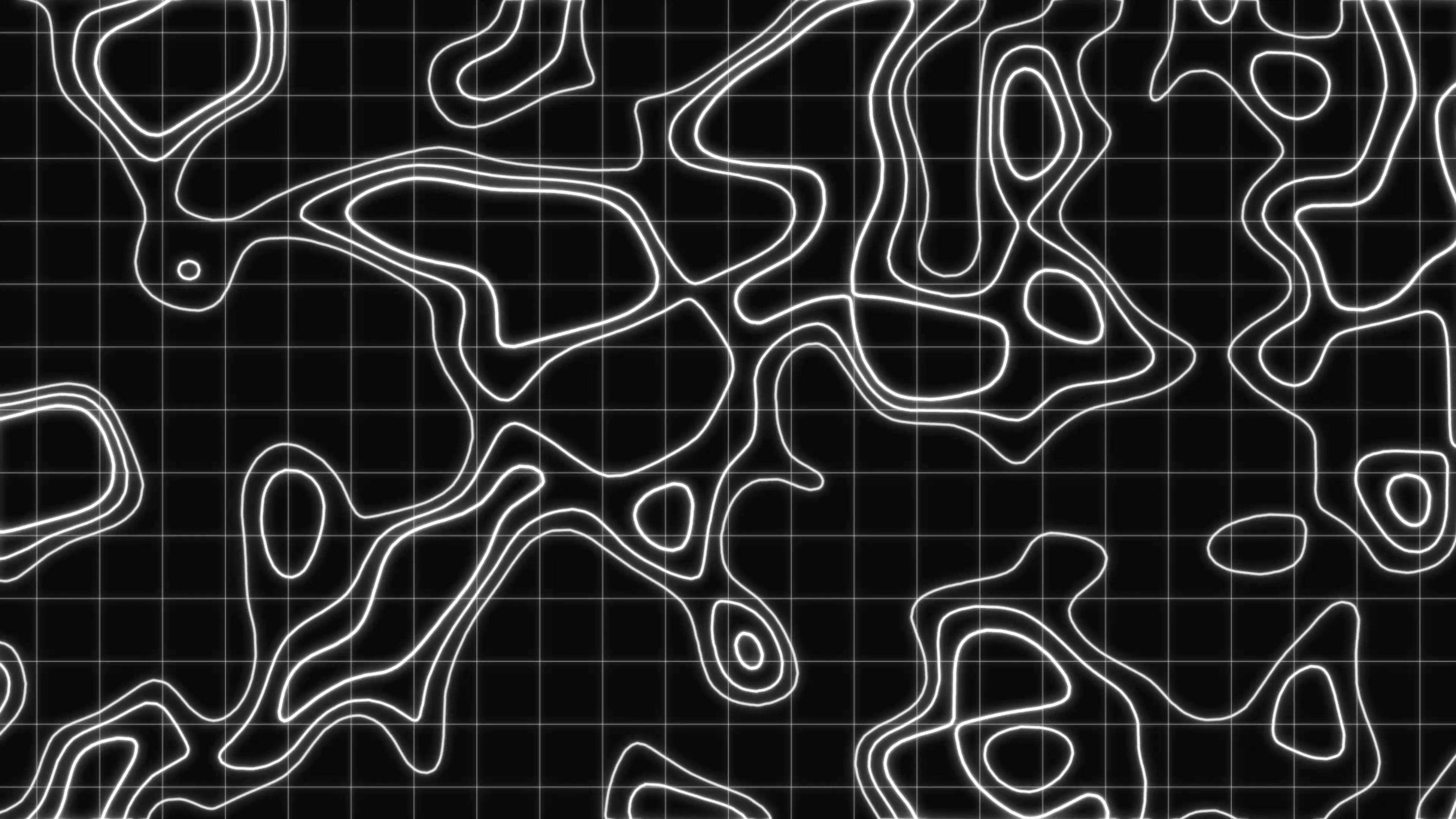 Wolf Animals Nature Snow White Wallpapers Hd Desktop