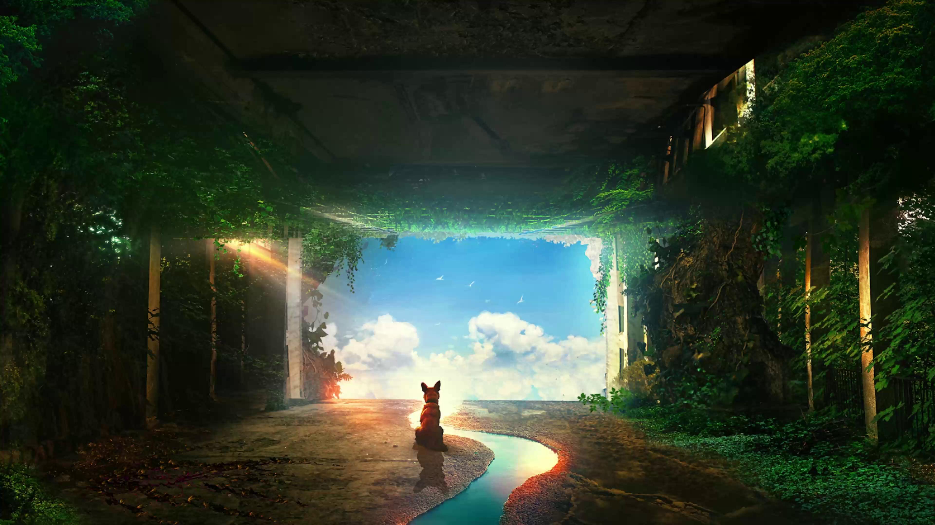 Dog in Post Apocalypse Live Wallpaper