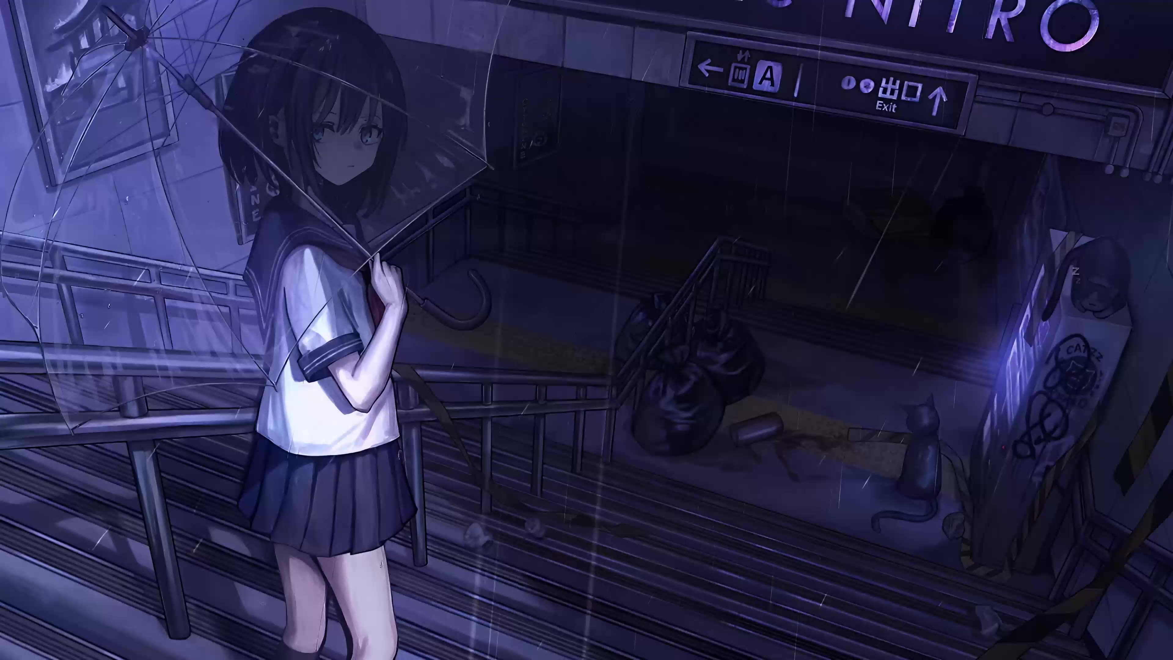Alone in the City Rain Live Wallpaper