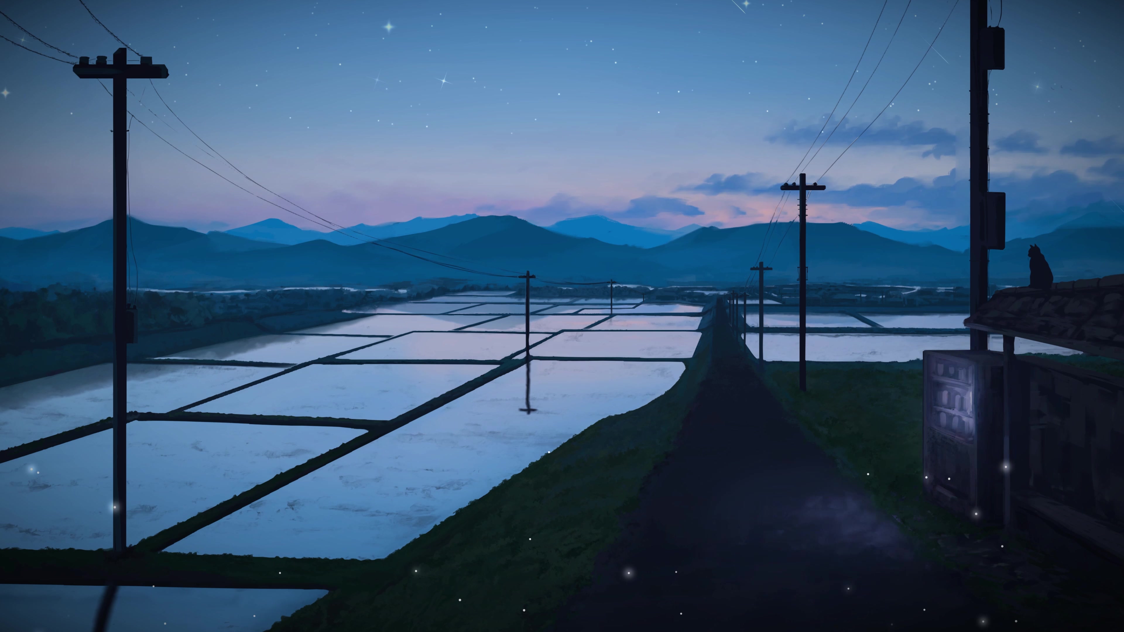 Starlight Over the Flooded Fields Live Wallpaper