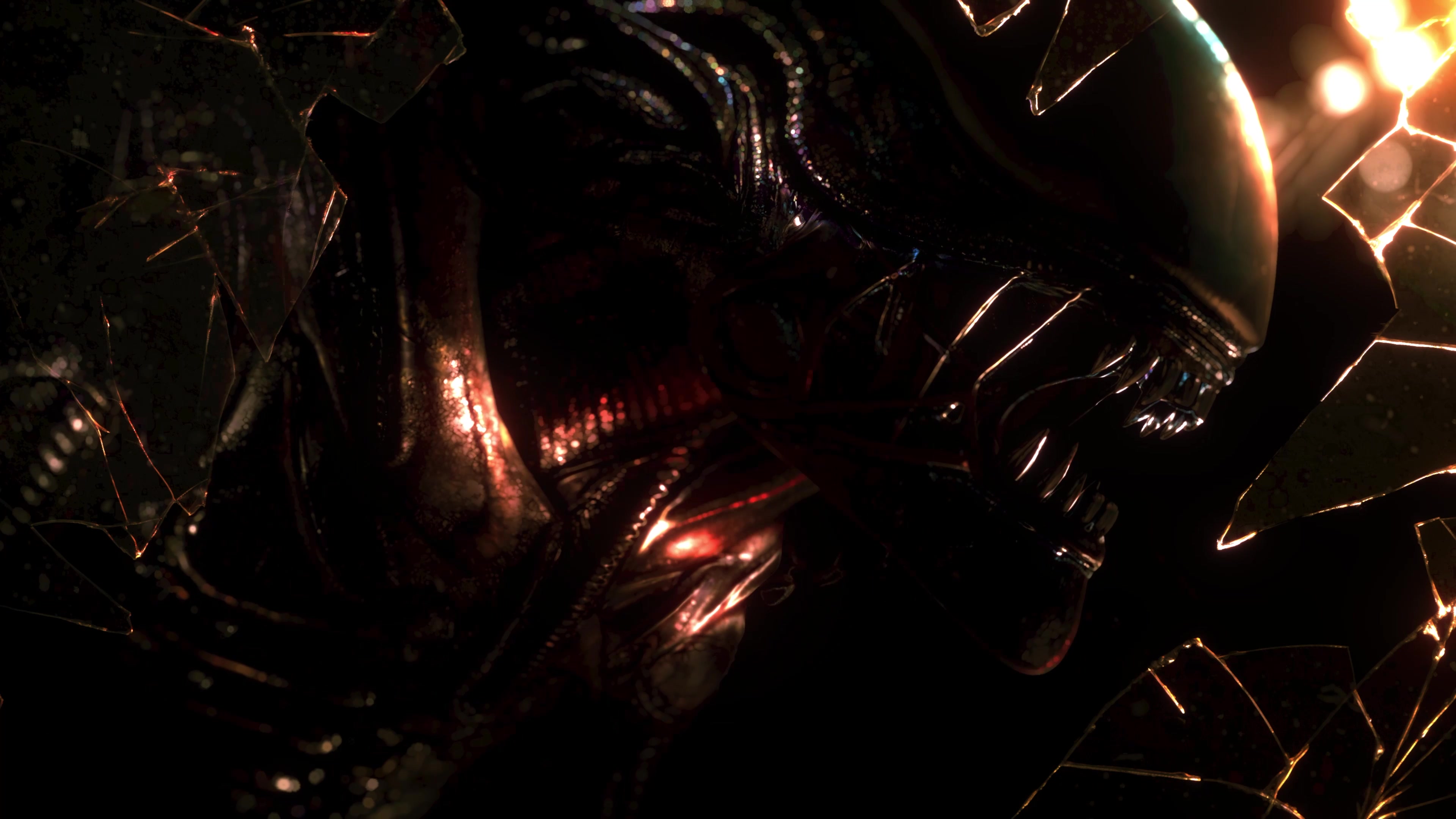 Xenomorph (Aliens Cinematic) Live Wallpaper