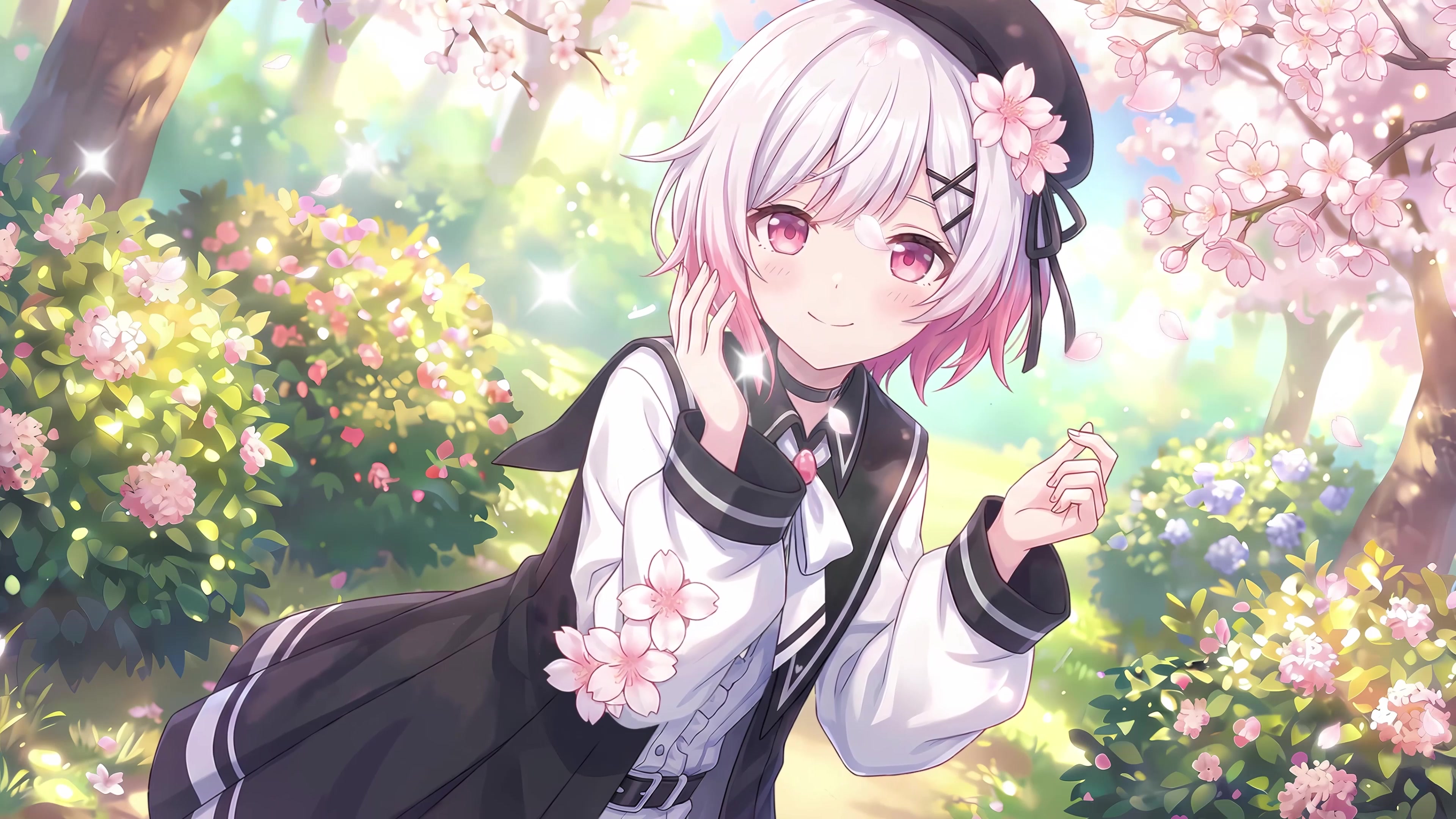 Spring Blossom Sakuraba Ema Mobile Live Wallpaper